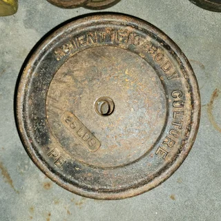 2x25lbs(11.3kg) Gym Weight Plates for Sale! | Parow | Gumtree South Africa