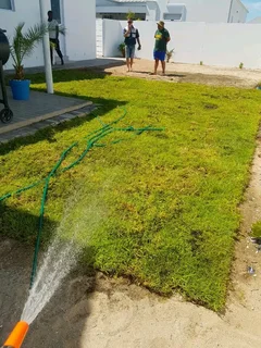 Roll on lawnkikuyu grass | Bellville | Gumtree South Africa
