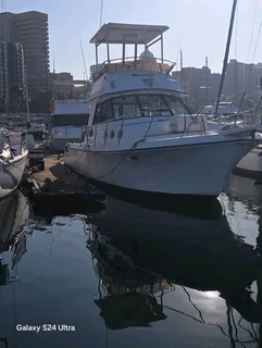 Wellcraft 41 | Other | Gumtree South Africa