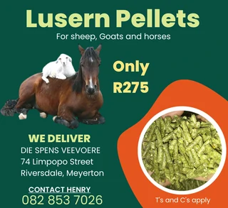 LUSERN PELLETS FOOD FOR YOUR HORSES GOATS AND SHEEP | Meyerton ...